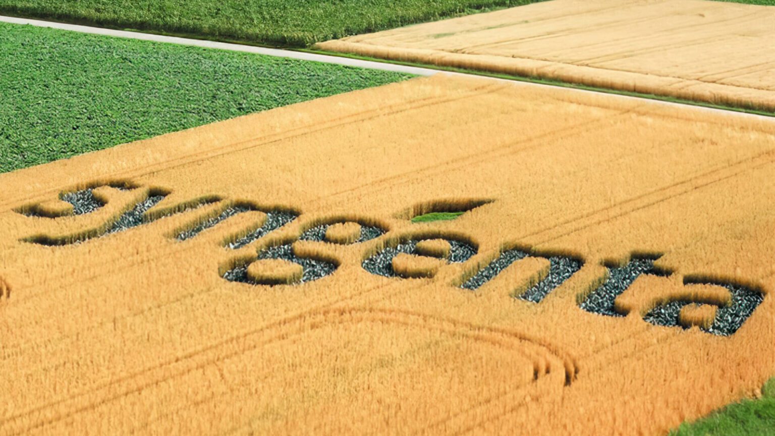 Mais uma vez a Syngenta é destaque no prêmio TOP LIST - Portal Mais Agro
